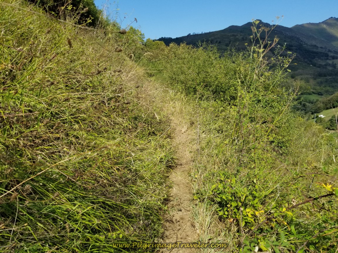 Day Four, Camino de San Salvador ~ San Miguel to Campomanes, 20 Km